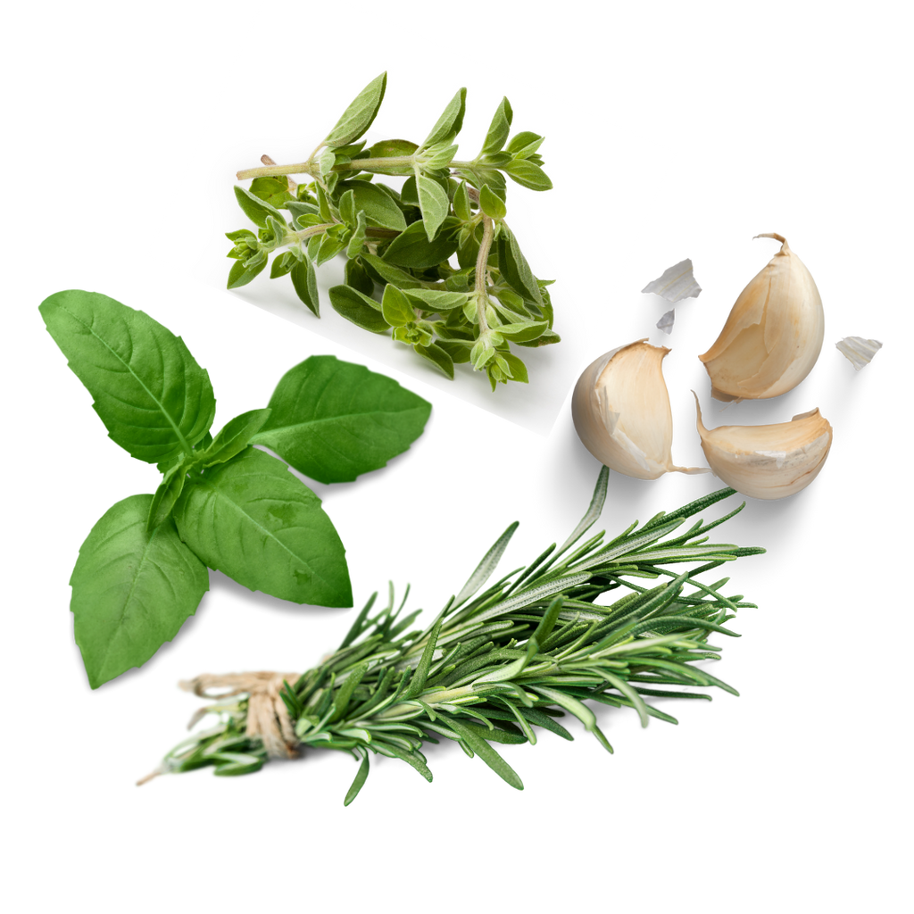 Italian Herbs Balsamic Vinegar The Olive Groove